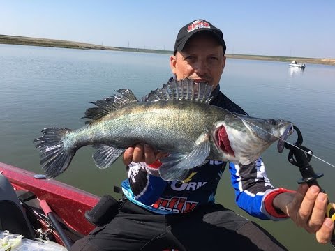 Tehnici de pescuit într-o nouă partidă la șalău pe lac! - YouTube