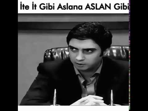ite it gibi ASLANA ASLAN Gibi Davrancaz Bundan Sonra / Polat Alemdar Racon KESİYOR