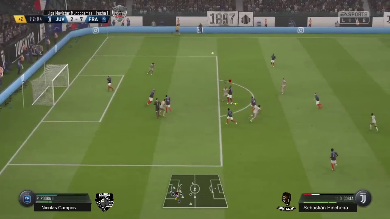 Torneos Focus Live Stream - YouTube