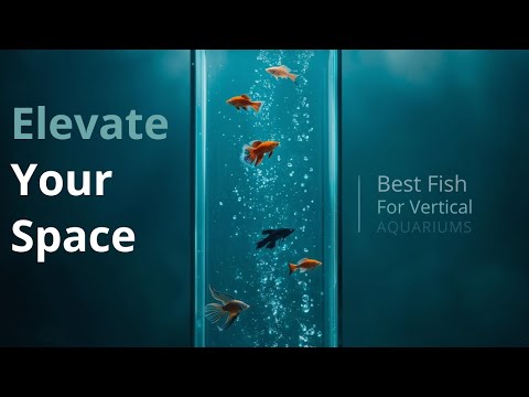 Elevate Your Space: Best Fish for Vertical Aquariums - YouTube