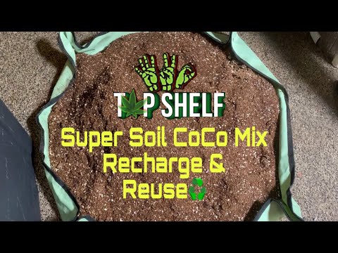 Super Soil Coco Mix ! From Old To New 🔥 - YouTube