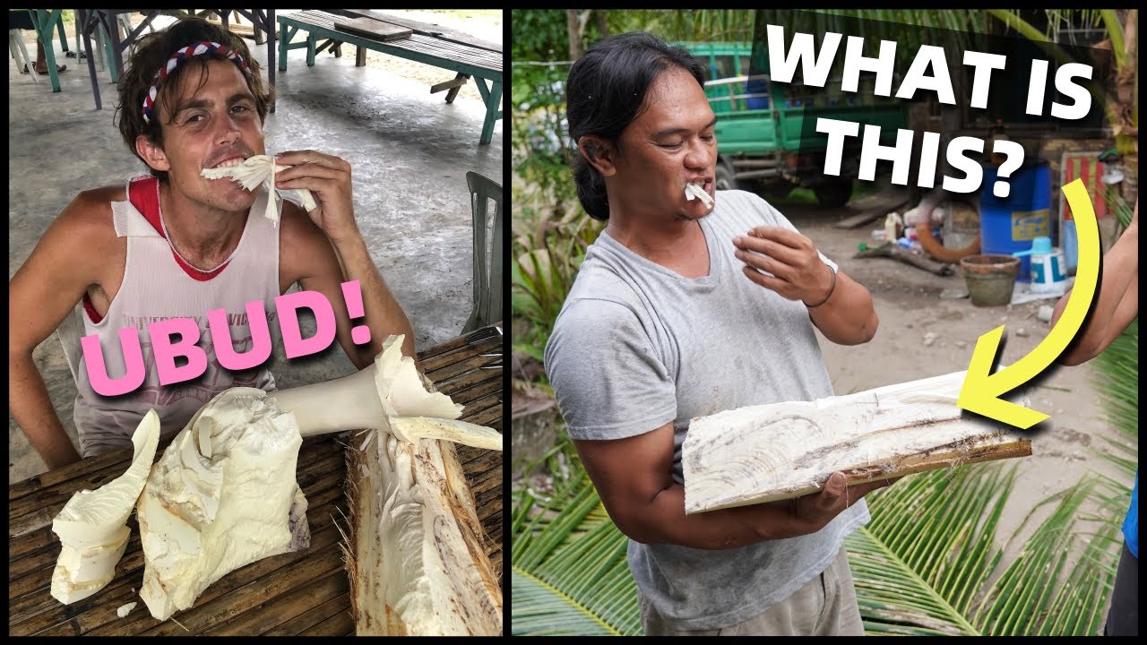 FILIPINO SURVIVAL FOOD - Eating Coconut Tree - STRANGE SNACK ...