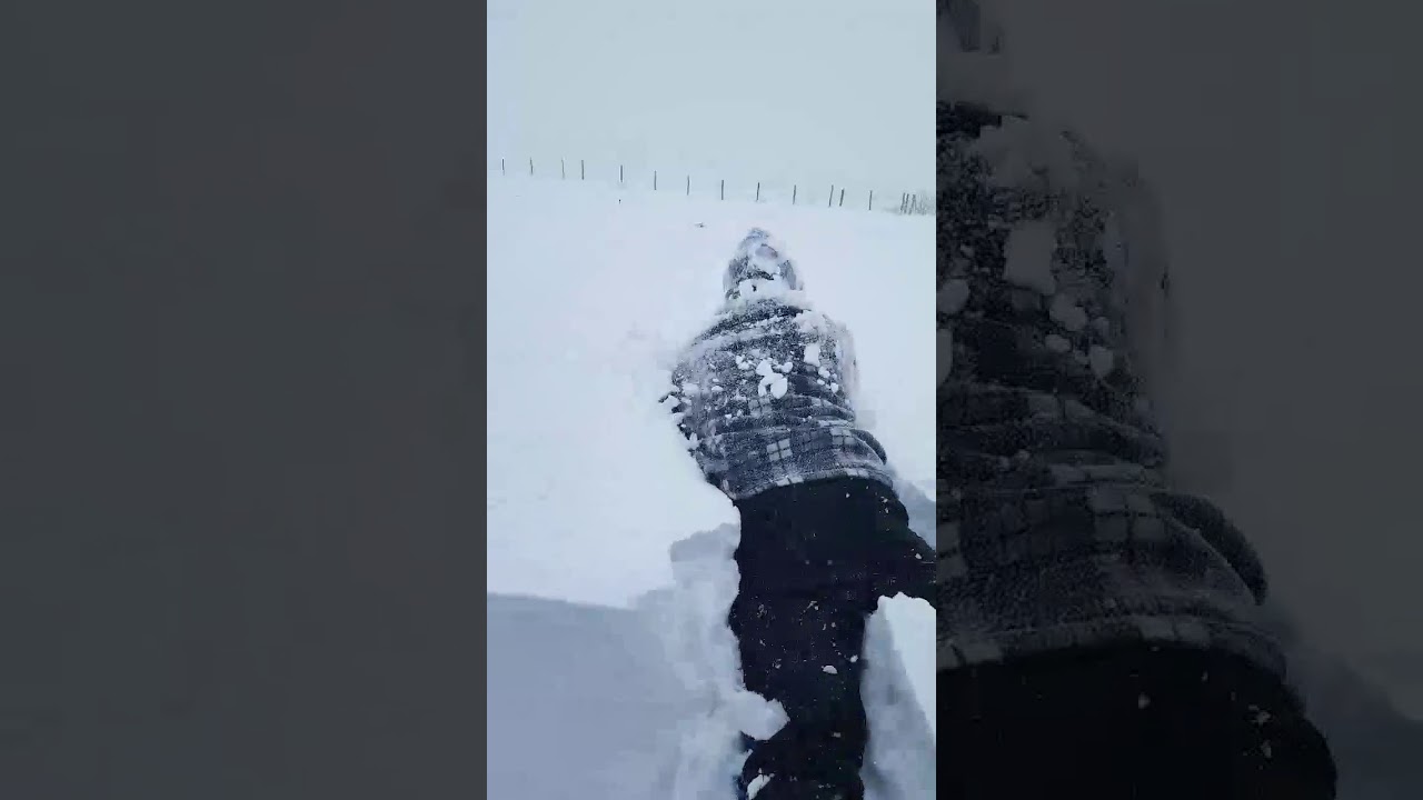 snow diving - YouTube
