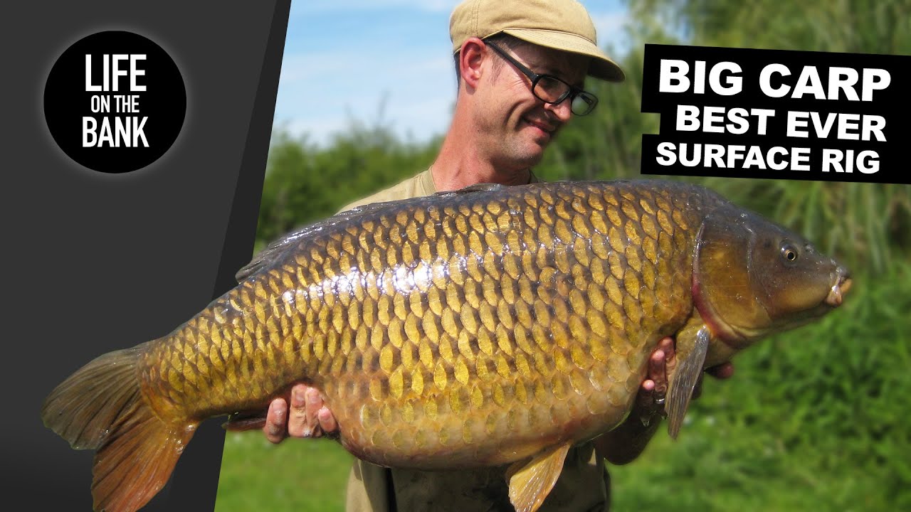 SURFACE CARP FISHING | The Ultimate Self Hooking Rig - YouTube