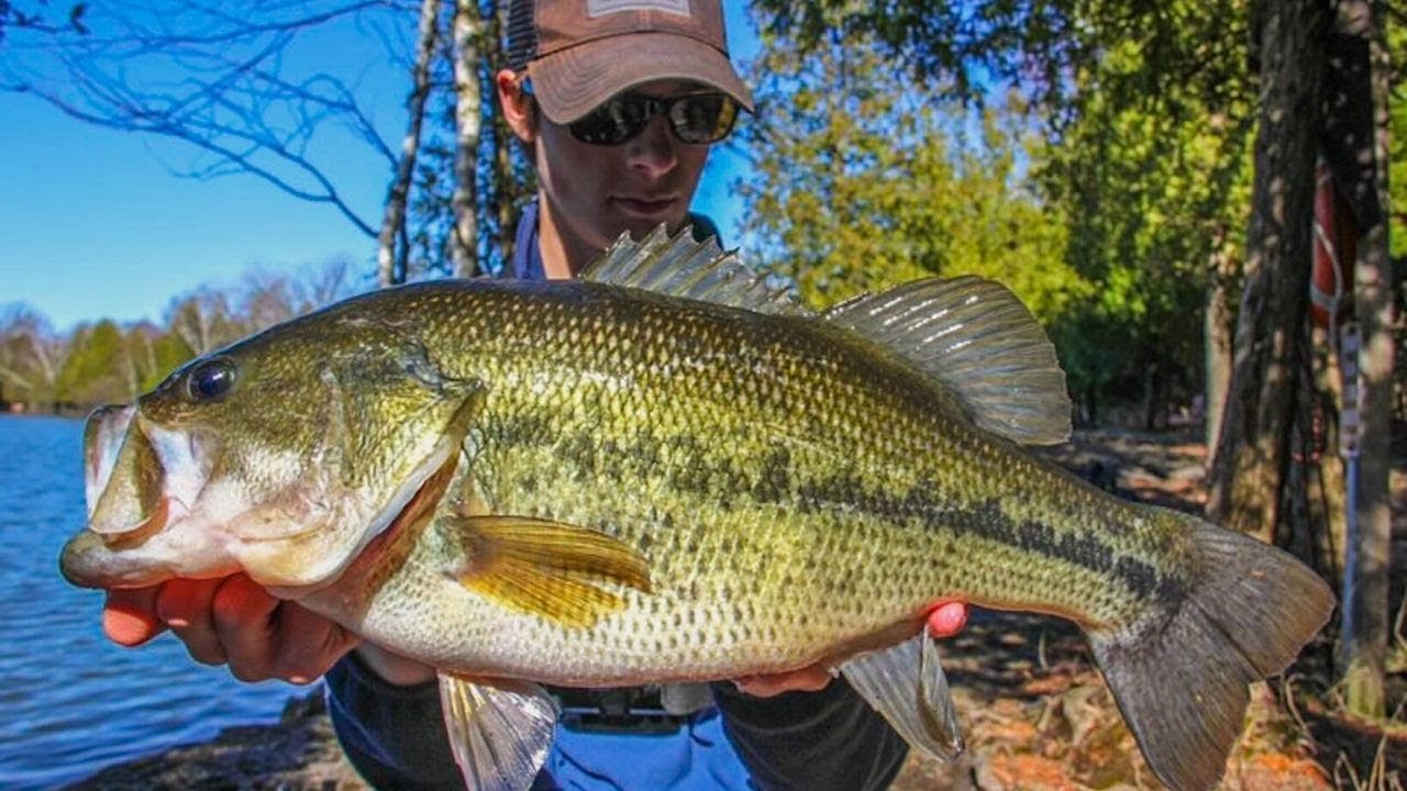 MONSTER BASS Fishing in WISCONSIN! (HUGE!) - YouTube