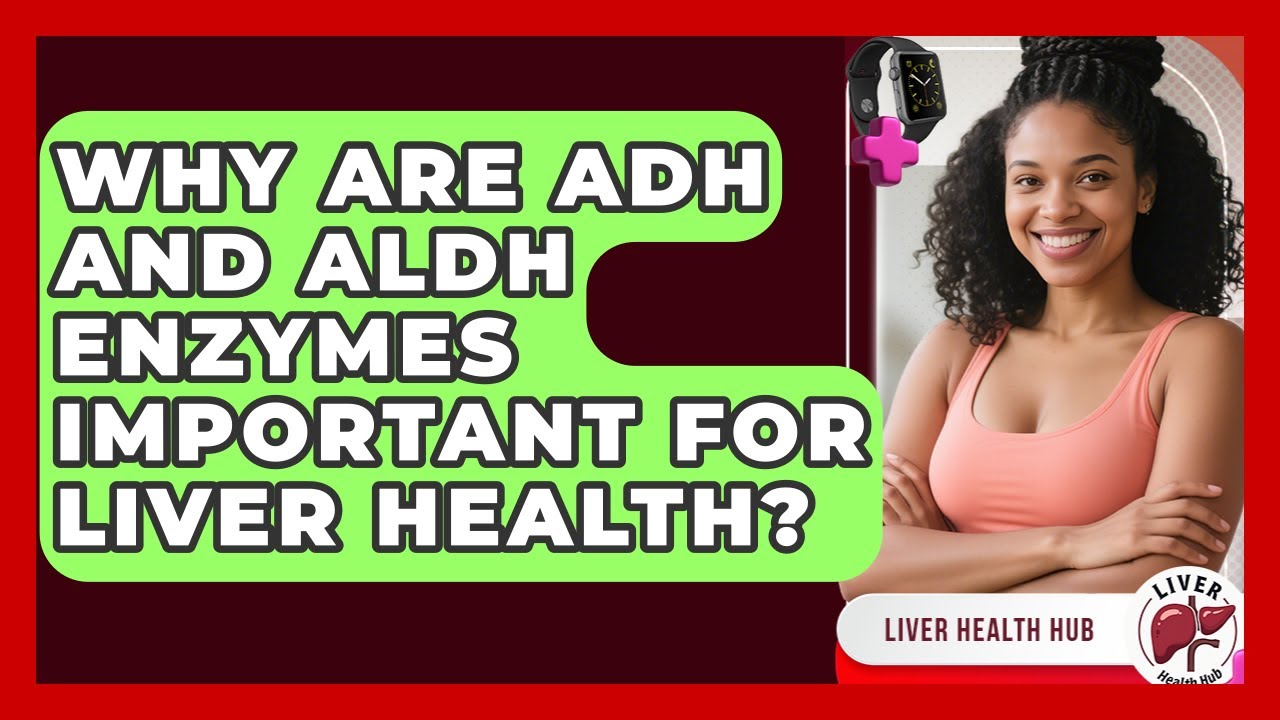 Why Are ADH And ALDH Enzymes Important For Liver Health? - Liver Health ...