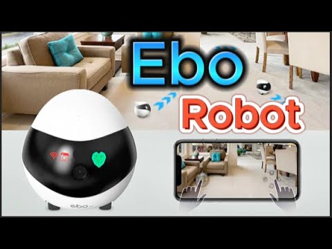 What is an Ebo robot?, Is Enabot worth it? and How do I connect my ebo ...