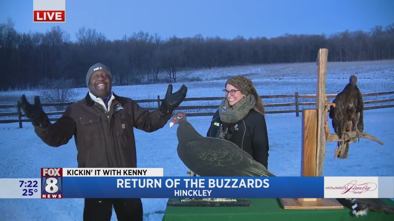 Kenny learns why the buzzards love Hinckley - YouTube