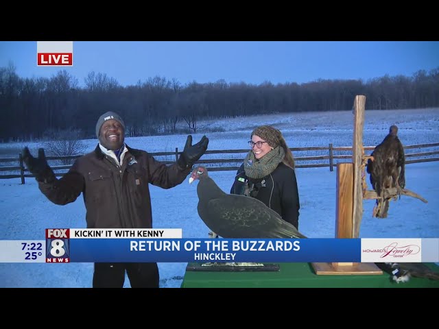 Hinckley Ohio Buzzards Cartoons It's Tough To Be A Bird Is Released