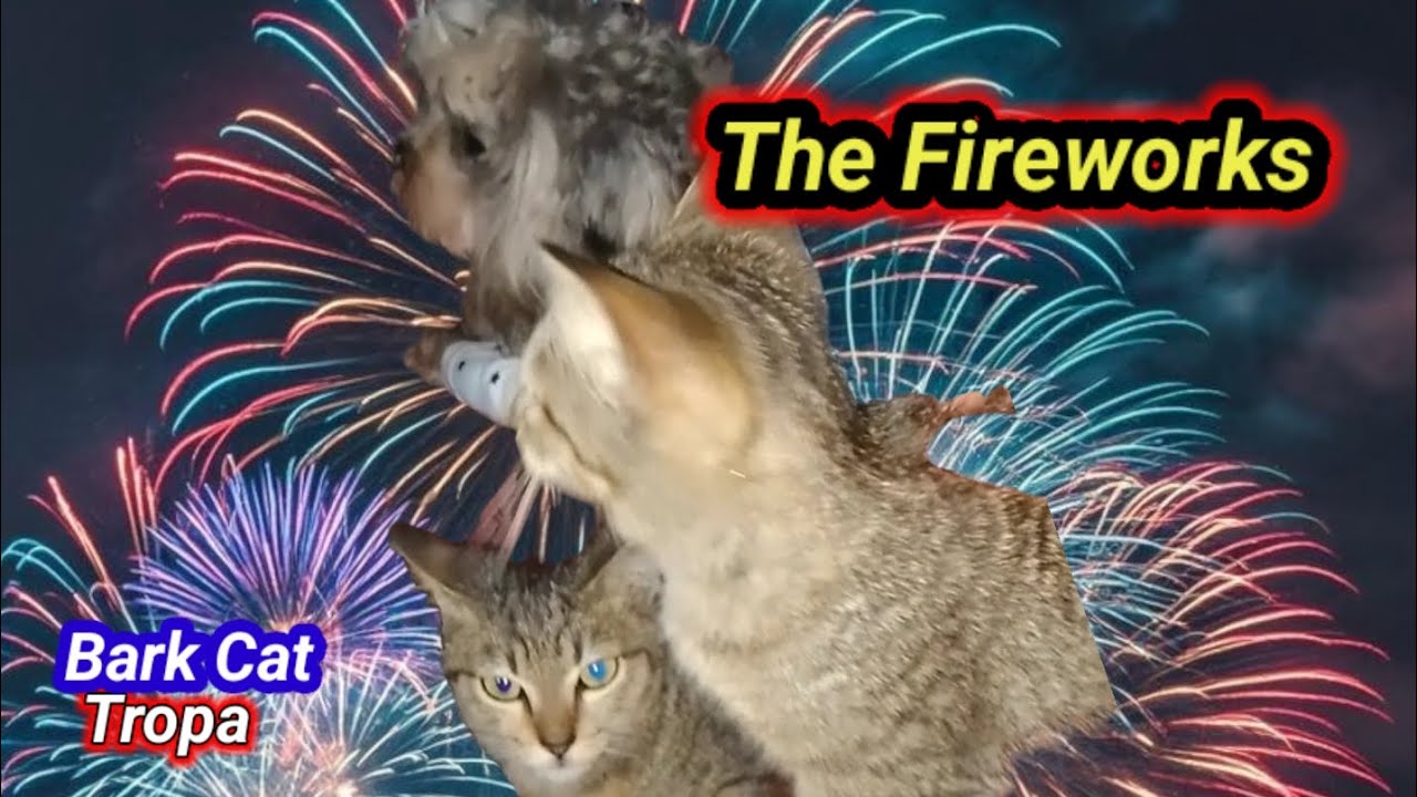 *The Fireworks: Whisker's Big Scare" - YouTube