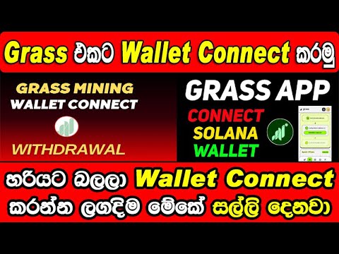 How to Connect Phantom Wallet in get Grass | Grass Withdrawal Wallet ...