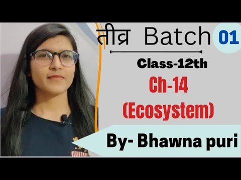 Class-12th|| Ch-14|| Ecosystem|| Biology by Bhawna puri - YouTube