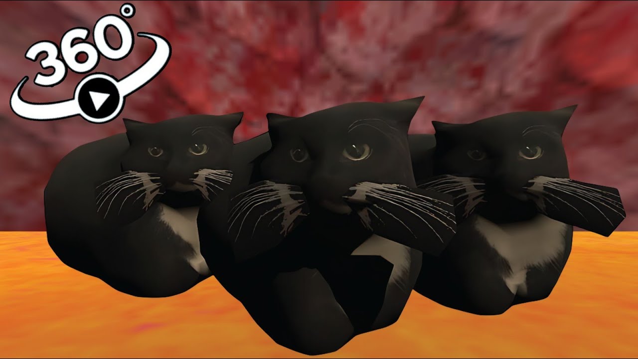 Maxwell The Cat dance at outer space but it's 360 degree video | VR 360 ...