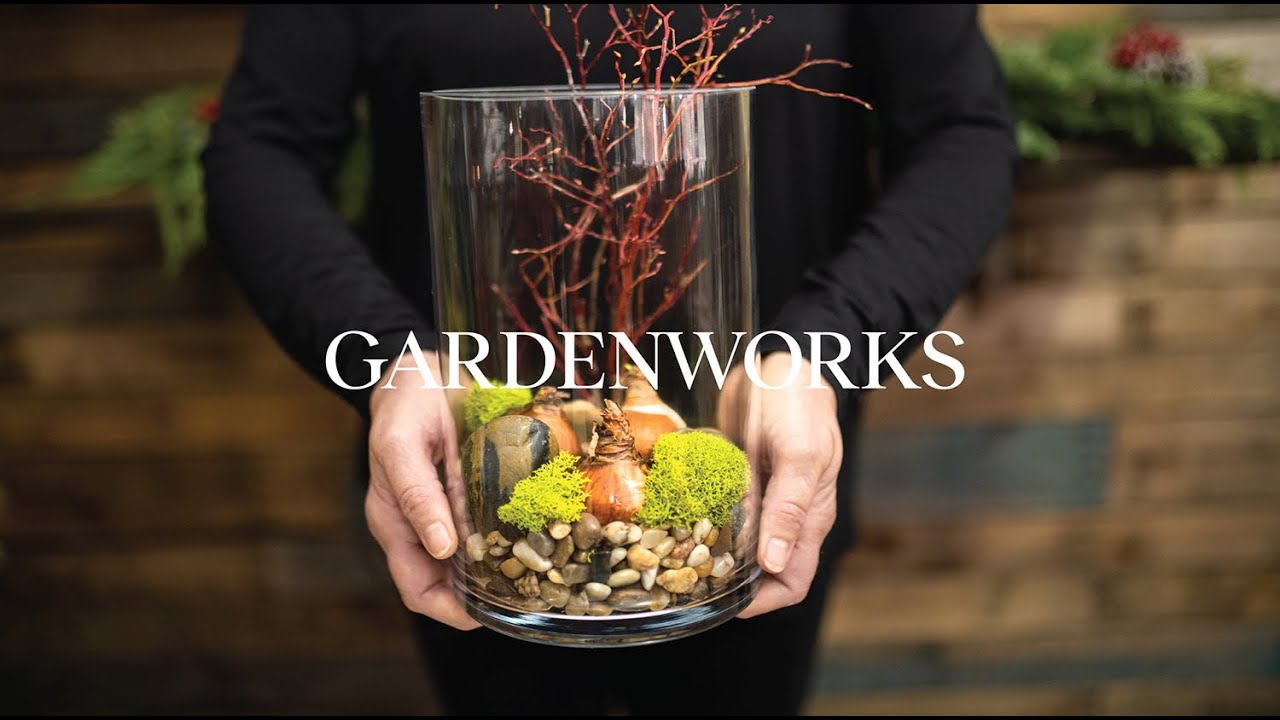 DIY Paperwhite Kit | GARDENWORKS Canada - YouTube