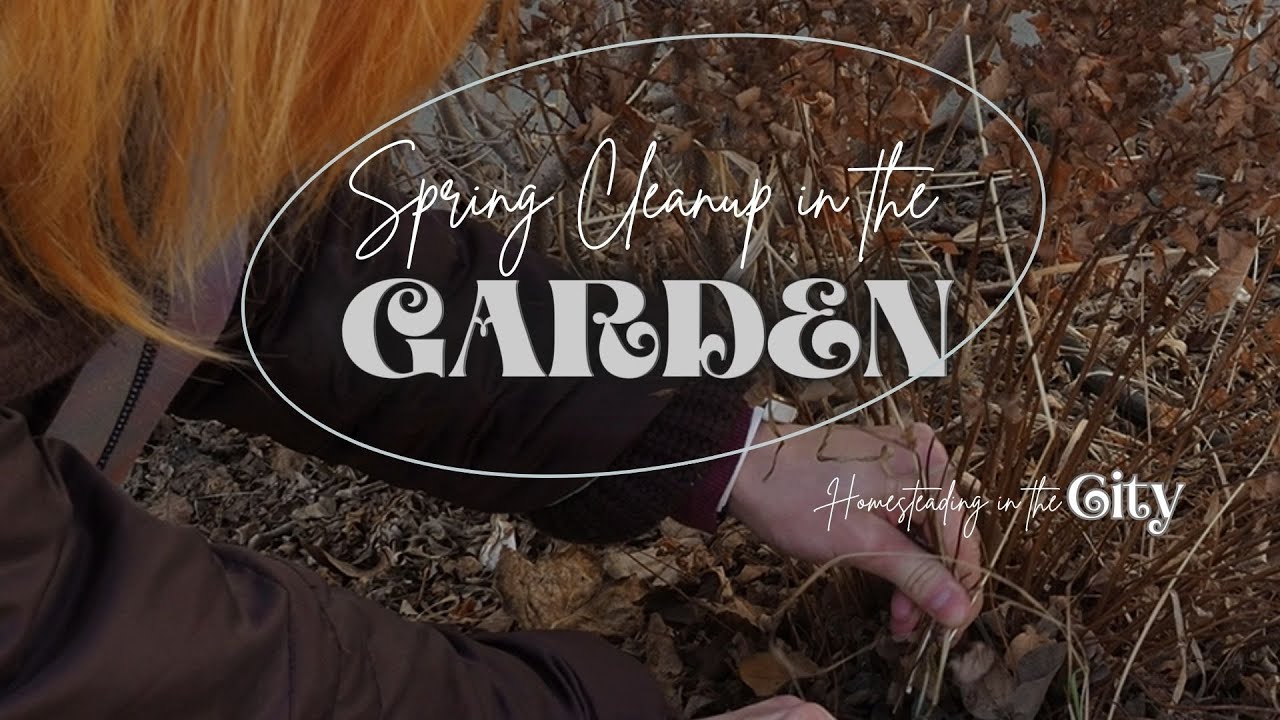 BACKYARD HOMESTEAD IN SPRING | what does spring look like in the city ...