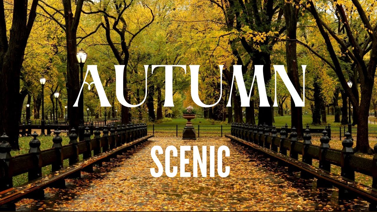 Autumn Scenic RM Teaser - YouTube