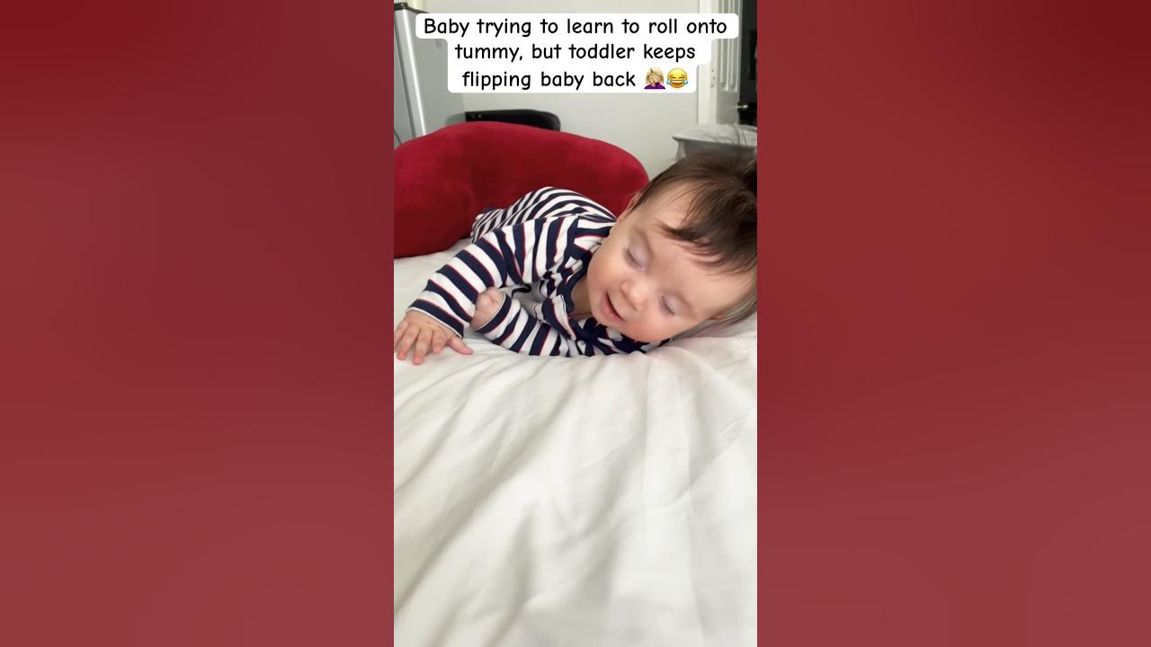 Baby learning to roll over on to tummy but his toddler brother keeps rolling him back to start ...