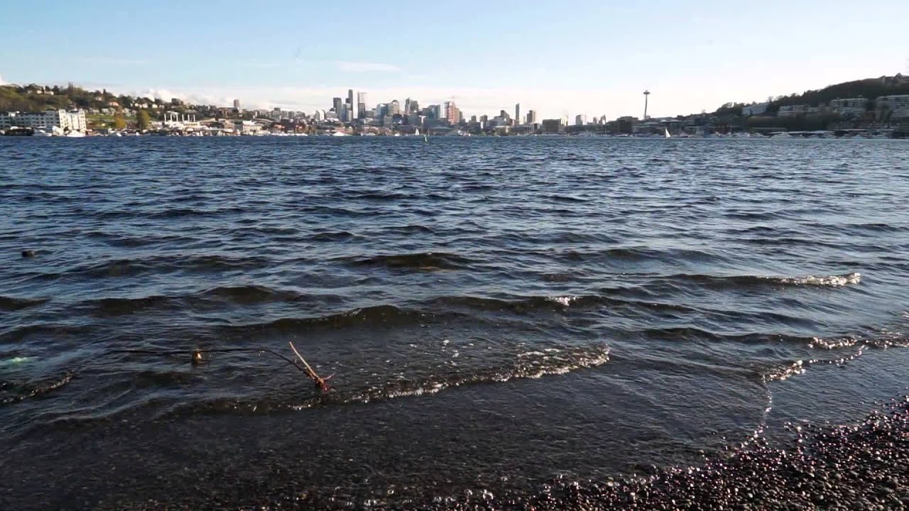 Sony Alpha 7 II Daylight Sample Video #2 - YouTube