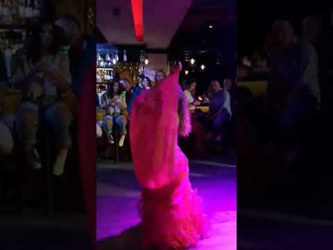 Belly dance show