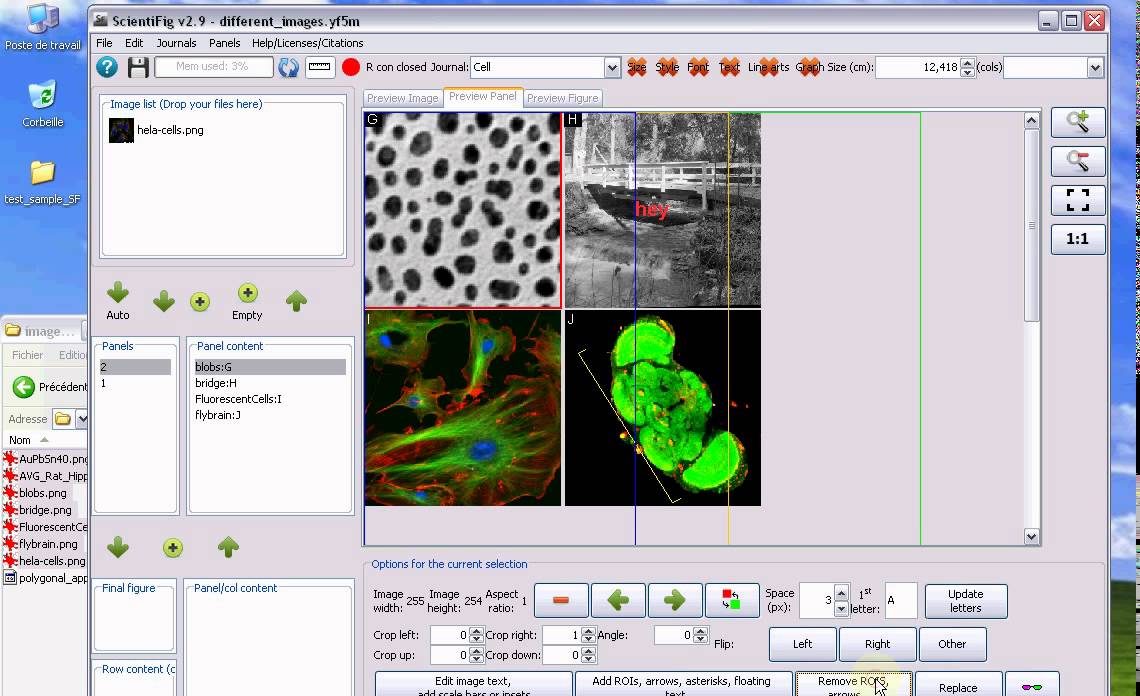remove ROIs Annotations - YouTube