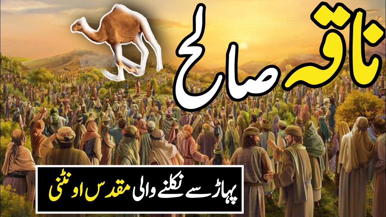 Naqah Salah | Hazrat Salah AS ki onthni ka waqia Qaum Samood ki injam ...