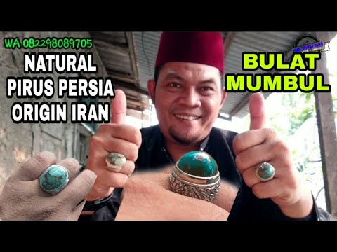 NATURAL PIRUS PERSIA ORIGIN IRAN ( BULAT MUMBUL ) - YouTube