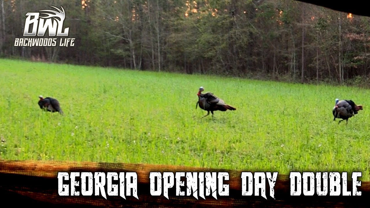 Opening Day Georgia Double - Backwoods Beards 1.3 - YouTube
