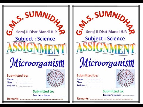 Science Assignments - YouTube