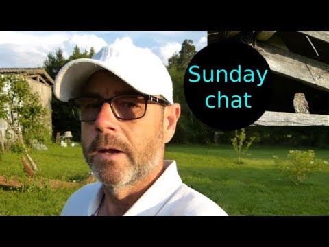 Cherry picking in France - Starting again at 50 - My new life alone in ...