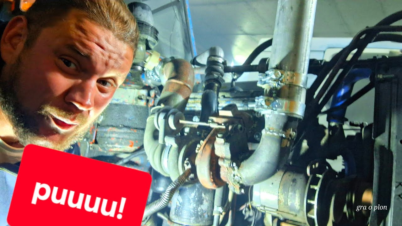 Potężny parczewski ryk rosomaka - YouTube