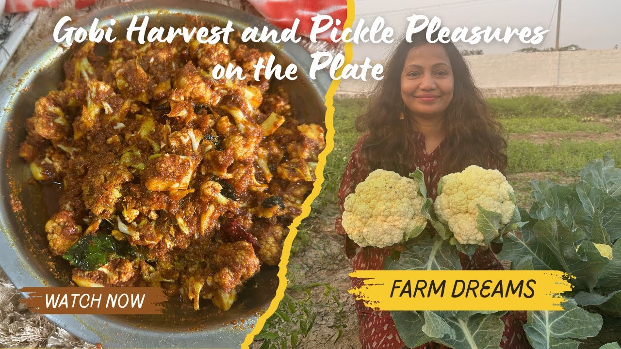 Garden-to-Table Bliss |Farm-Fresh Gobi & Pickle|Taste the tradition ...