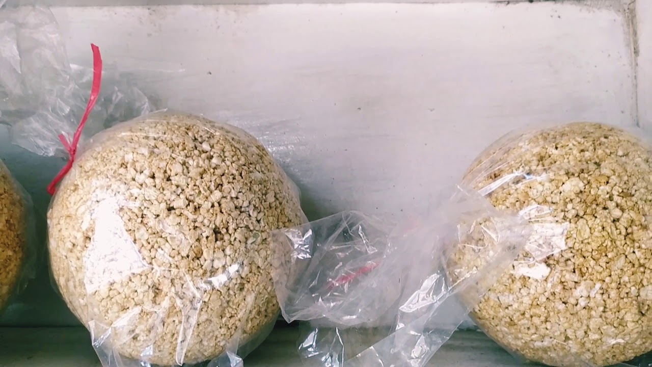 Majalaya Food (Borondong) - YouTube