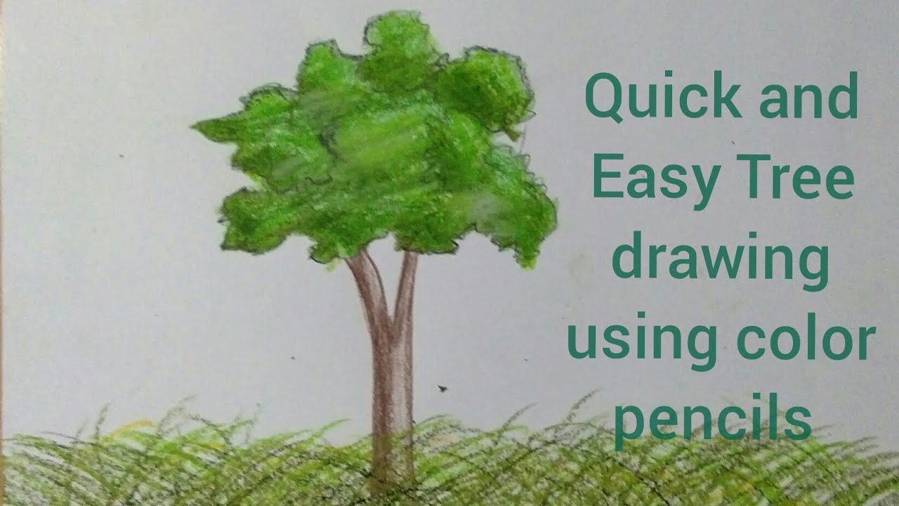 quick Tree Drawing using color pencils and pestals - YouTube