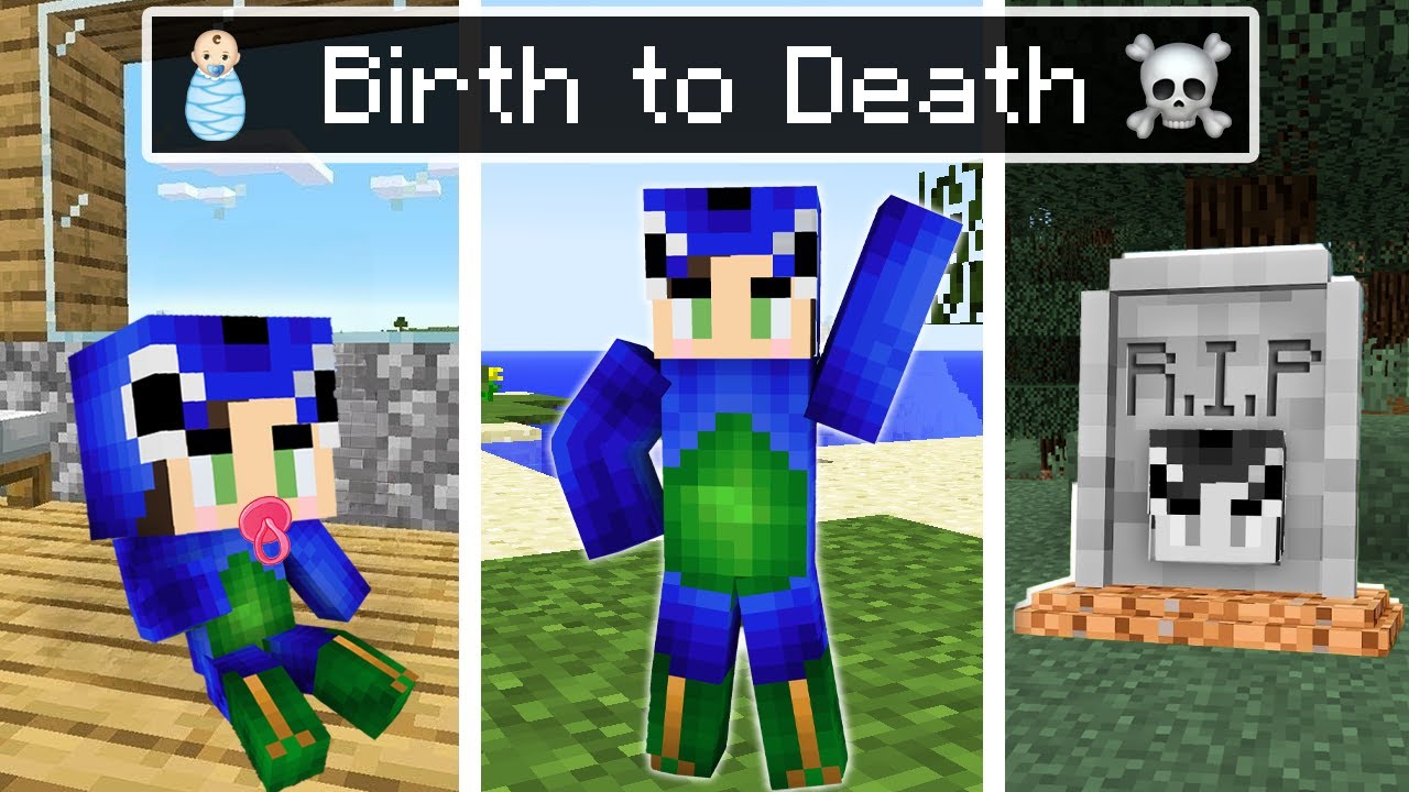 Ayush's BIRTH to DEATH In Minecraft 😱 (Hindi) - YouTube
