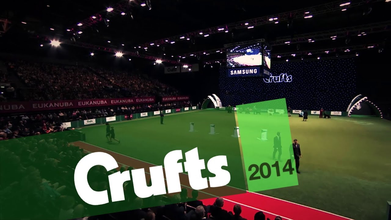 Behind the Scenes | Best in Show | Crufts 2014 - YouTube