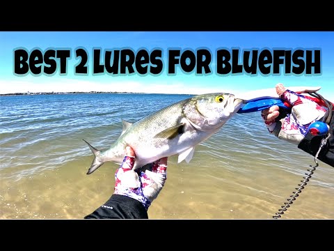 Best 2 lures for catching Bluefish ! 