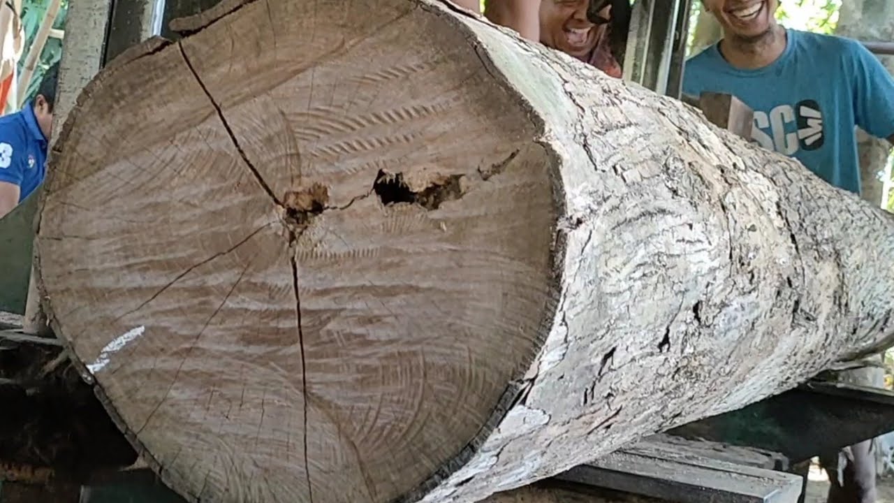 BERISIKO TINGGI! kayu jati retak proses pengolahan kayu dipenggrajian ...