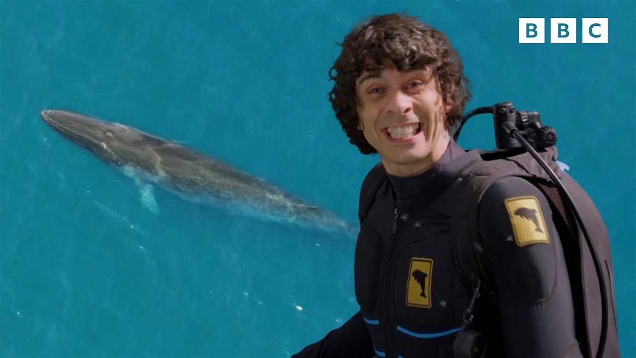 The BIGGEST Aquatic Creatures! 🐋 | Aquatic Adventures | Andy's Amazing ...