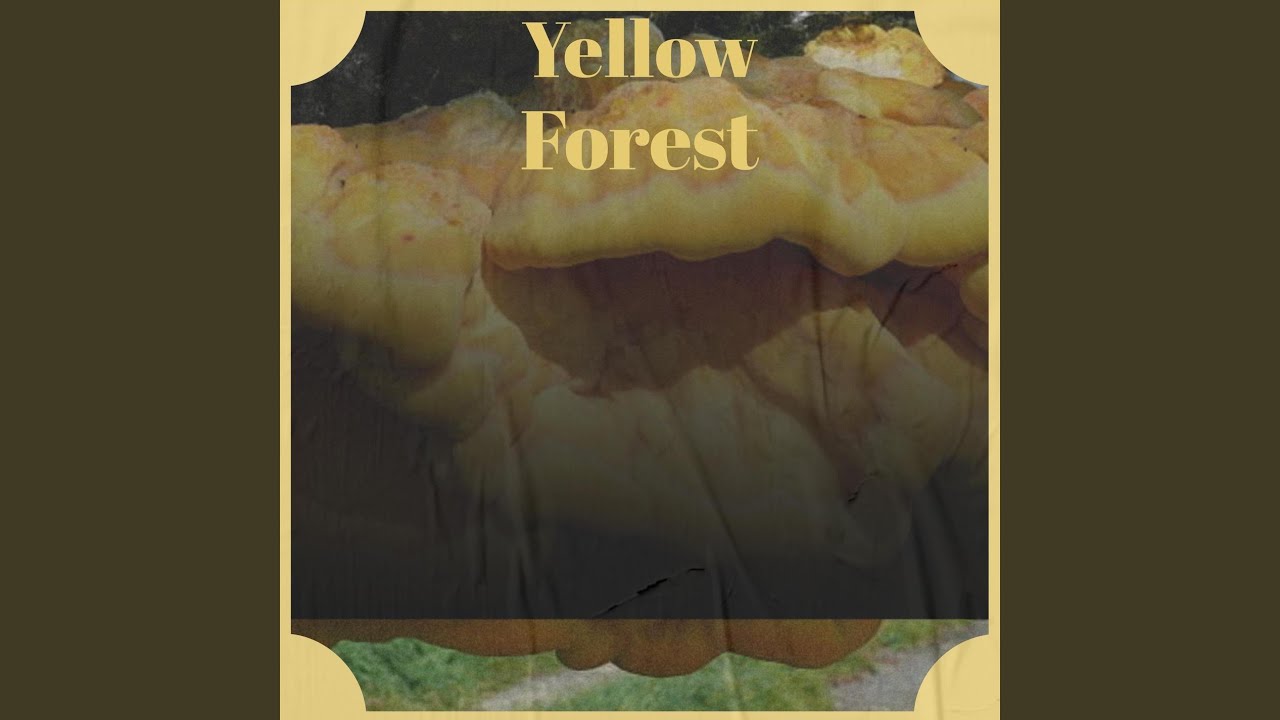 Don't Put No Headstone On My Grave - YouTube