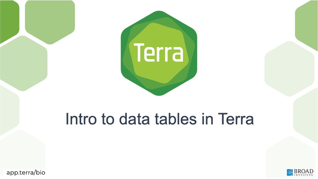 Intro to Data Tables in Terra - YouTube