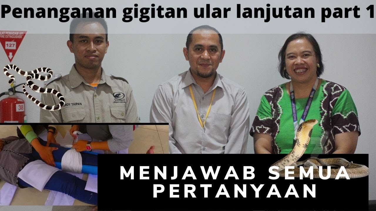 IMOBILISASI PART 1 (dr Tri Maharani)! menjawab pertanyaan - YouTube