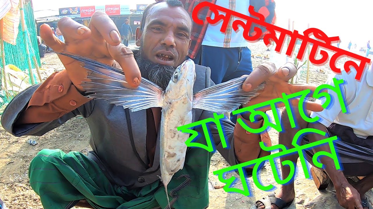 সেন্টমার্টিনের মাছে আগুন । Saint Martin Tour Special Fish Fry & B B Q ...
