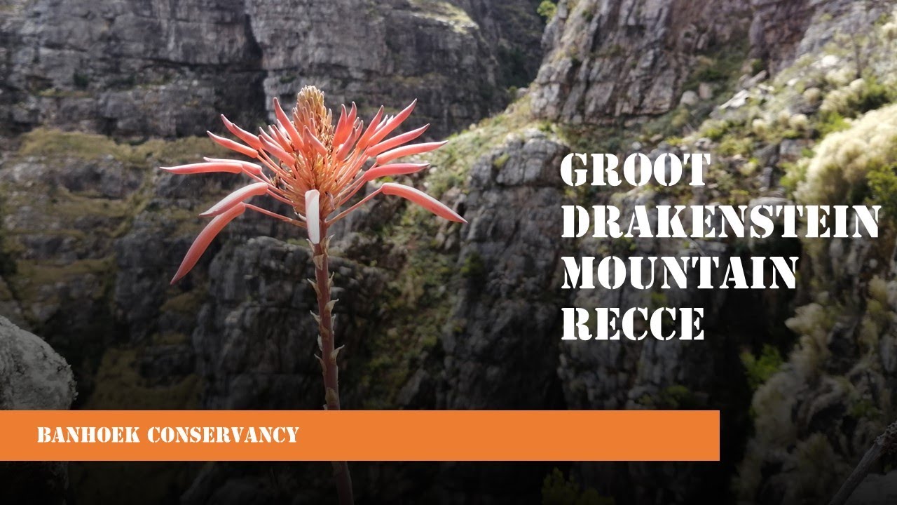 Eikenhofkloof, Groot Drakenstein mountain - YouTube