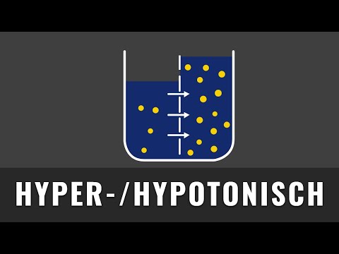 Hypertonisch & Hypotonisch | Isotonisch | Osmose | Kurze Begriffserklärung