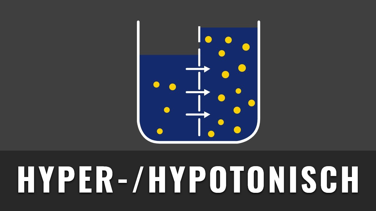 Hypertonisch & Hypotonisch | Isotonisch | Osmose | Kurze ...