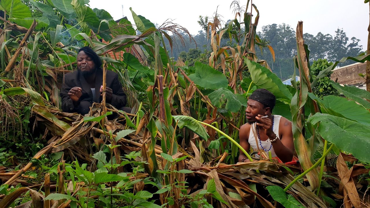 HOMELAND Comedy. Episode 61 - Bamenda with WAHALA - YouTube