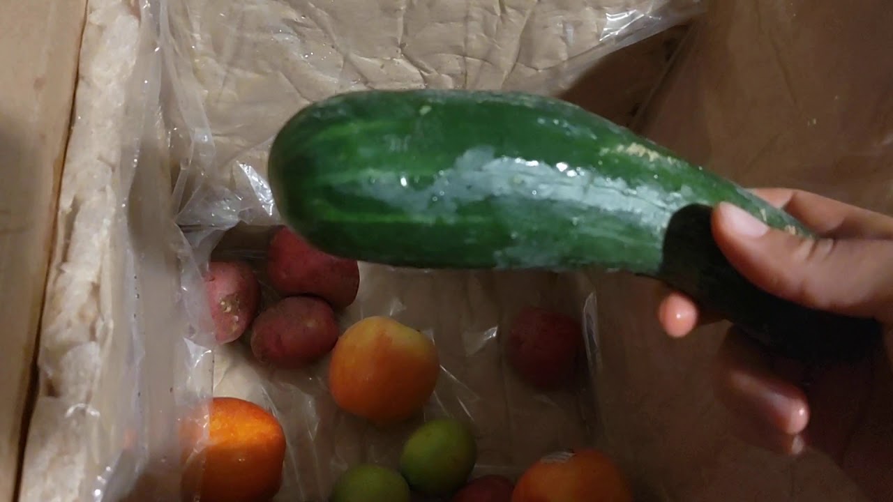 Misfits Market Organic Produce Delivery Box Review And Discount - YouTube