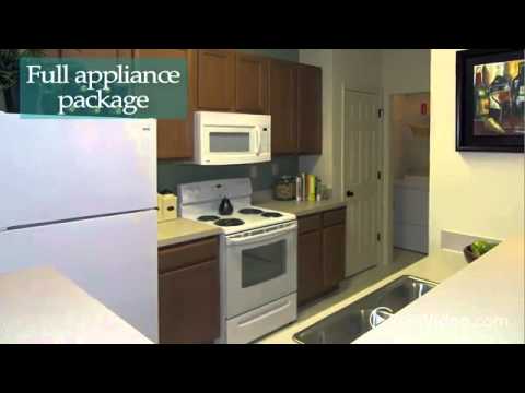 Legacy Pointe Apartments in Knoxville, TN - ForRent.com - YouTube