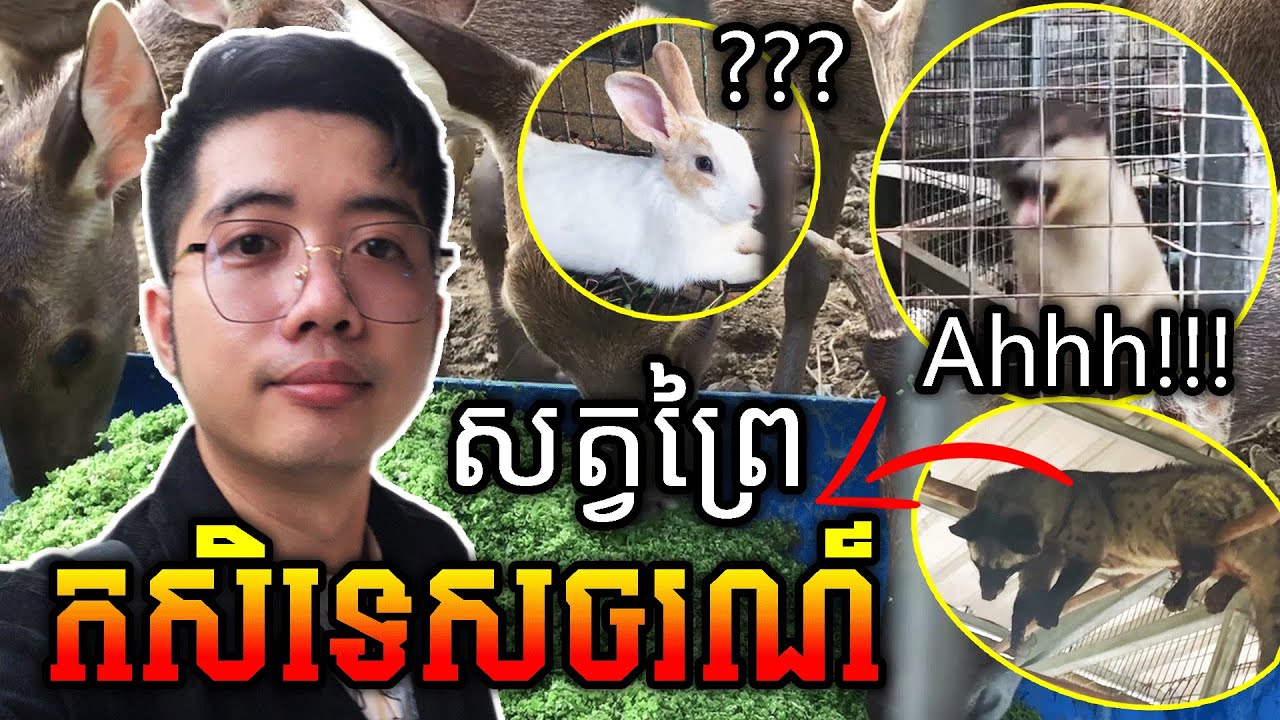 សួនសត្វម៉ុងឬទ្ធីសែនជ័យ Agri-Tourism Zoo Mong Rithy | Wild Animals ...