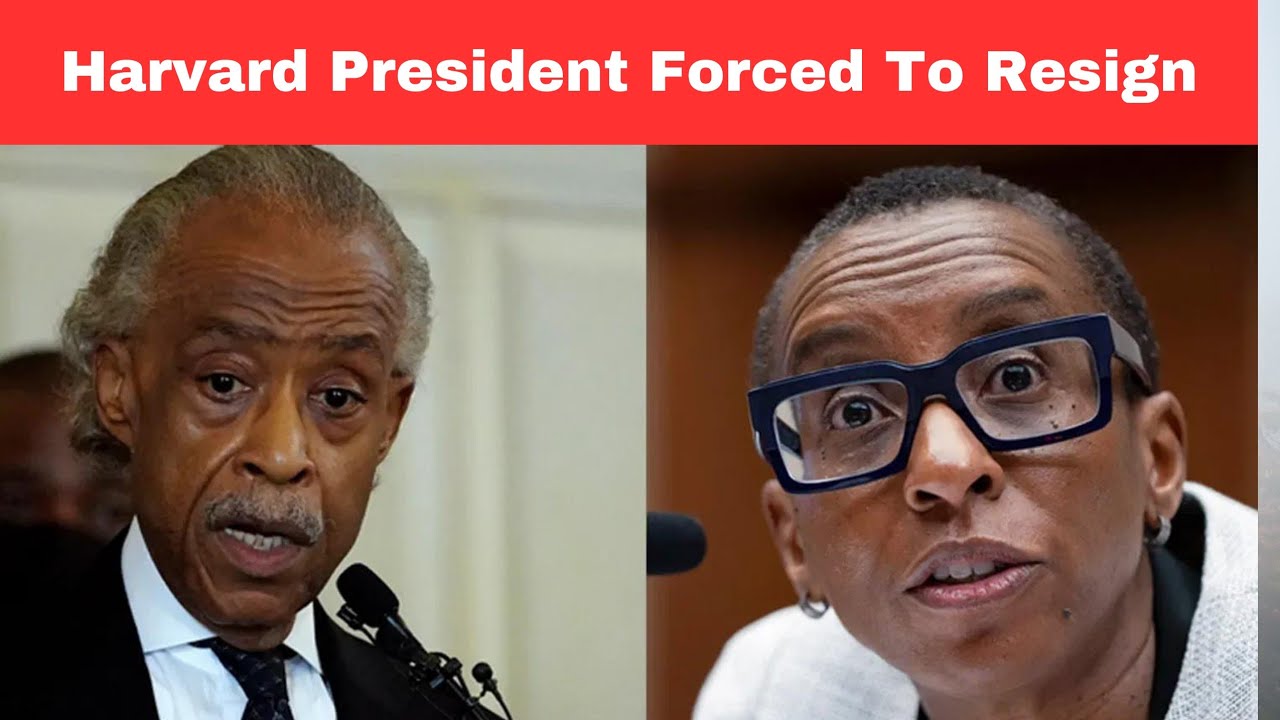 Harvard President's Resignation Exposes Troubling Trend - YouTube